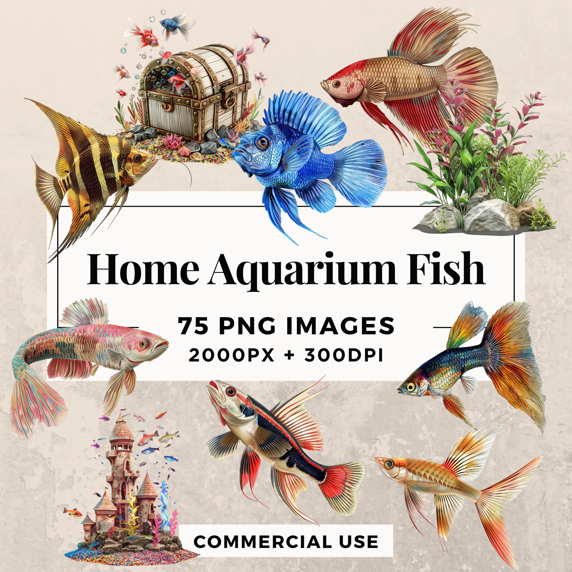75 Home Aquarium Fish Clipart Pack INSTANT DOWNLOAD 75 Colorful Fish ...