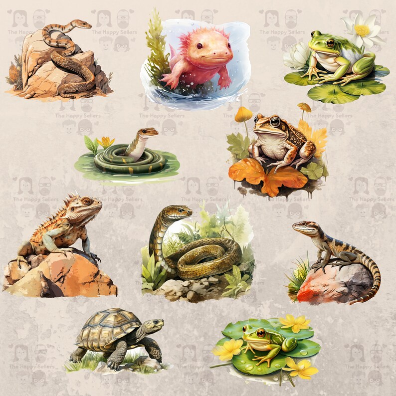 30 Amphibians and Reptiles Clipart Pack - INSTANT DOWNLOAD, PNG ...