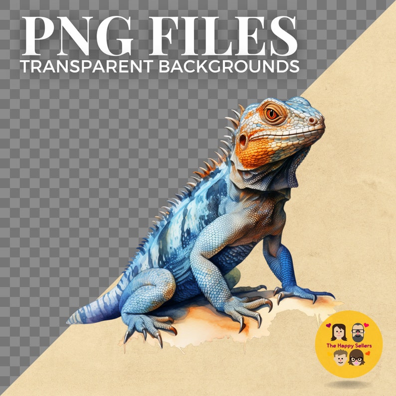 20 Reptiles and Amphibians Clipart Pack Instant Download, PNG Images ...