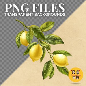 30 Citrus Corner Designs Clipart Pack - INSTANT DOWNLOAD, PNG ...