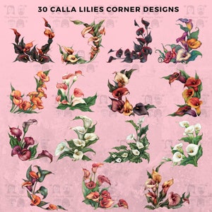 30 Calla Lilies Corner Designs Clipart Pack INSTANT DOWNLOAD, PNG ...
