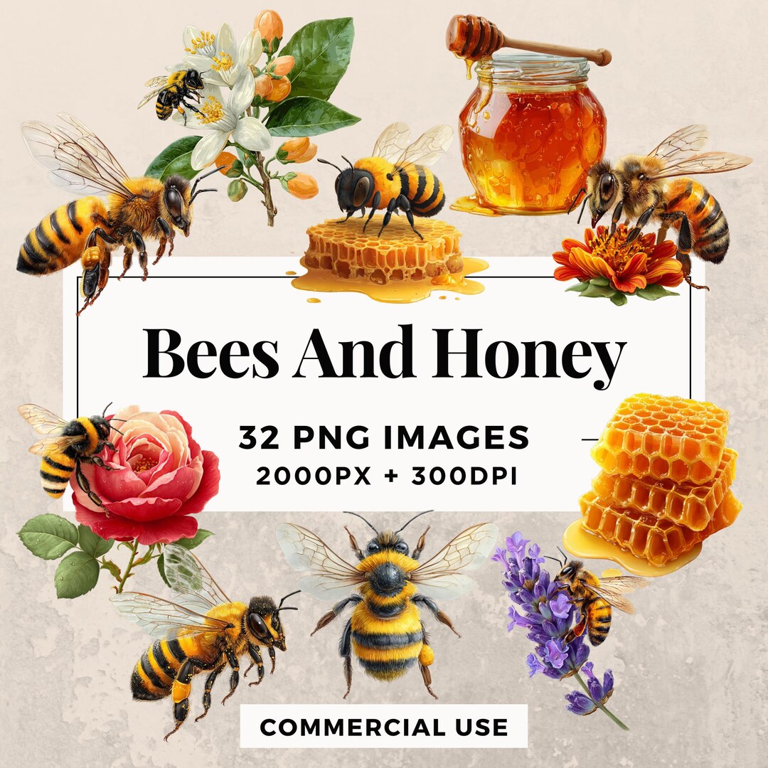 32 Bees and Honey Clipart Pack INSTANT DOWNLOAD 32 Adorable Bee & Honey ...