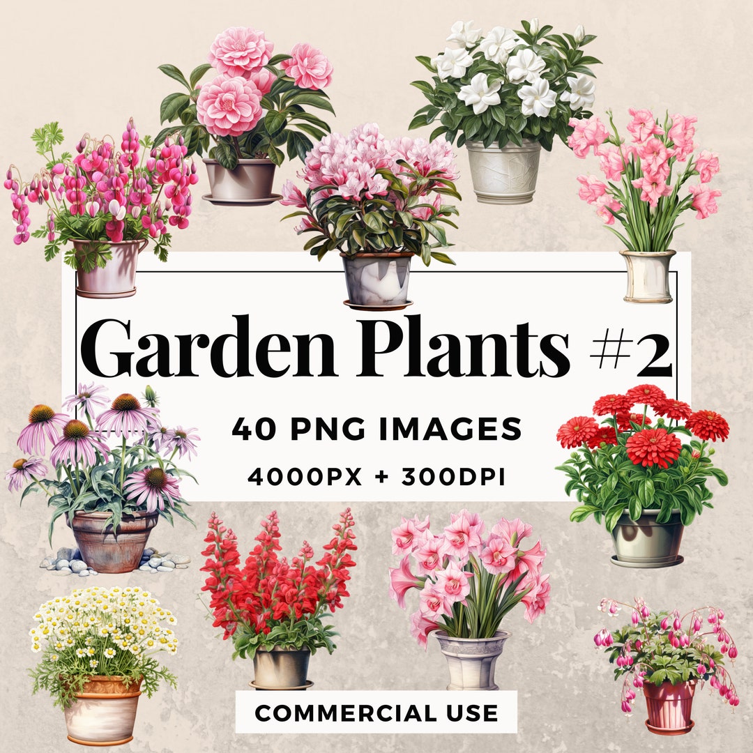 40 Garden Plants Clipart Pack #2 INSTANT DOWNLOAD 40 Plant Images, PNG ...