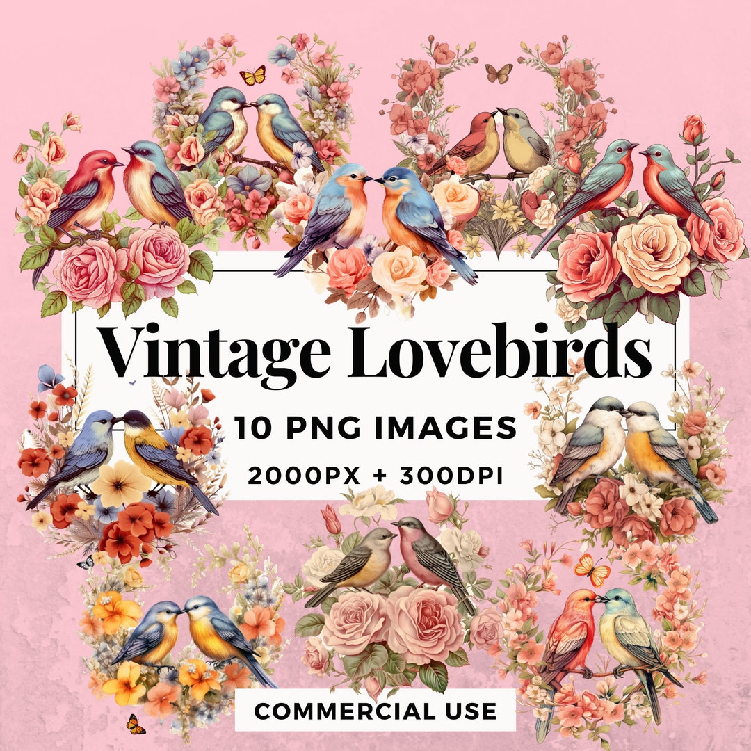 10 Vintage Lovebirds Clipart Pack INSTANT DOWNLOAD 10 Romantic Bird ...