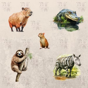 20 Rainforest Animals Clipart Pack INSTANT DOWNLOAD 20 Rainforest ...