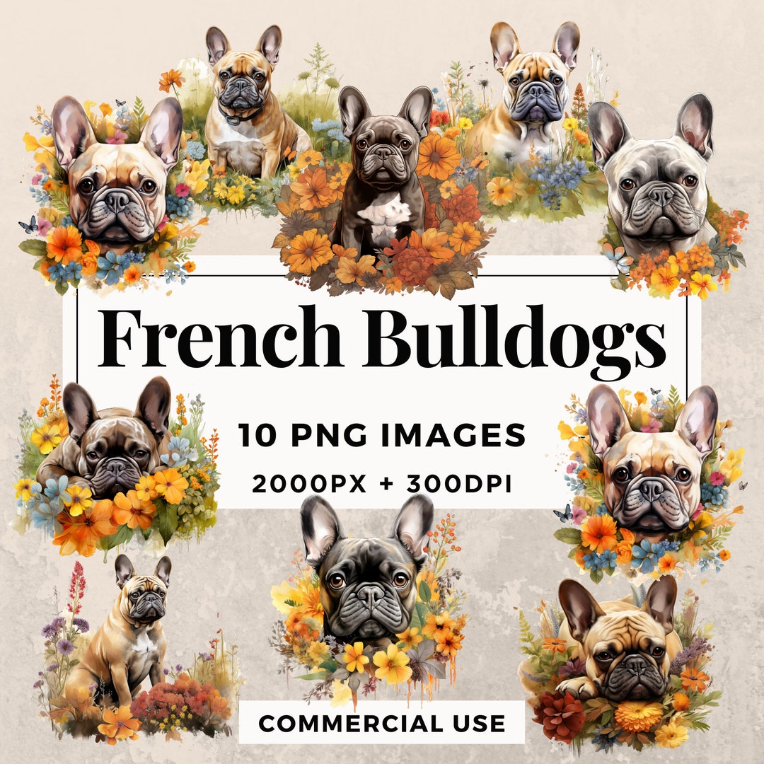 10 French Bulldogs Clipart Pack INSTANT DOWNLOAD 10 French Bulldog ...