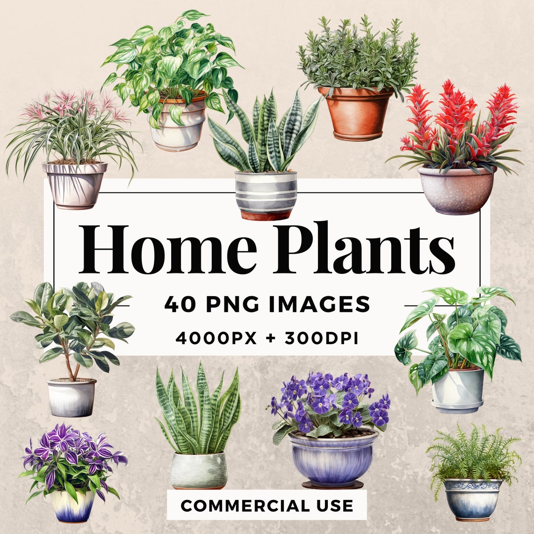 40 House Plants Clipart Pack INSTANT DOWNLOAD 40 Plant Illustrations ...