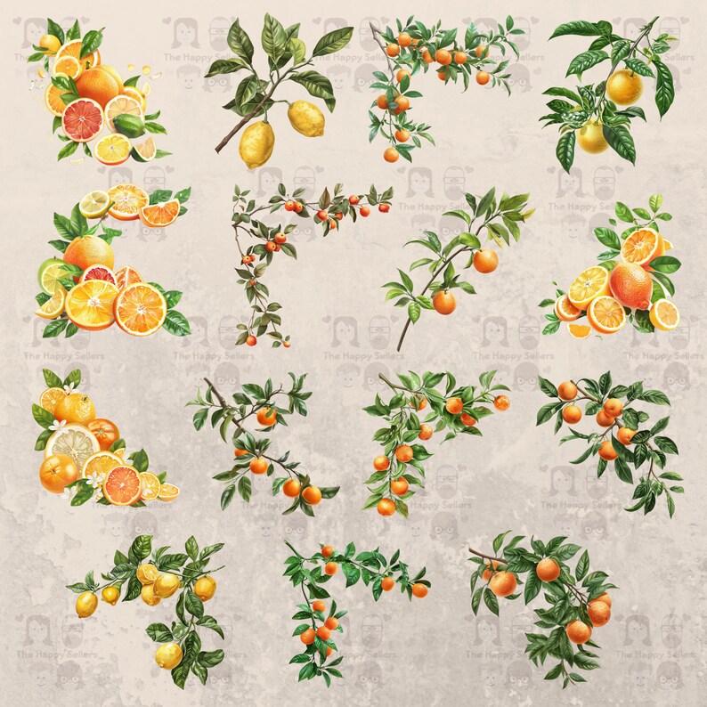 30 Citrus Corner Designs Clipart Pack - INSTANT DOWNLOAD, PNG ...