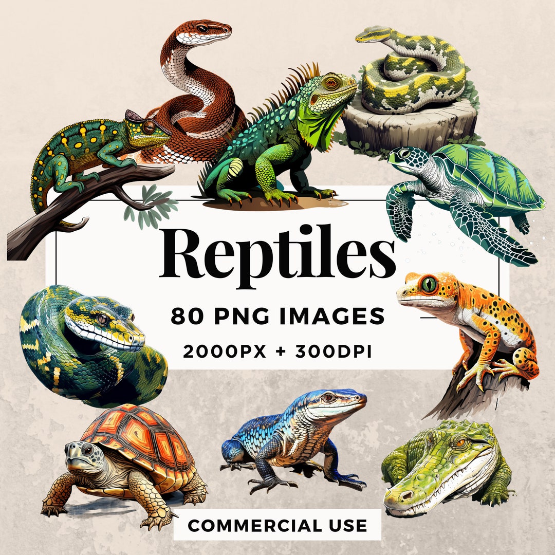 80 Reptiles Clipart Pack INSTANT DOWNLOAD 80 Diverse Reptile ...
