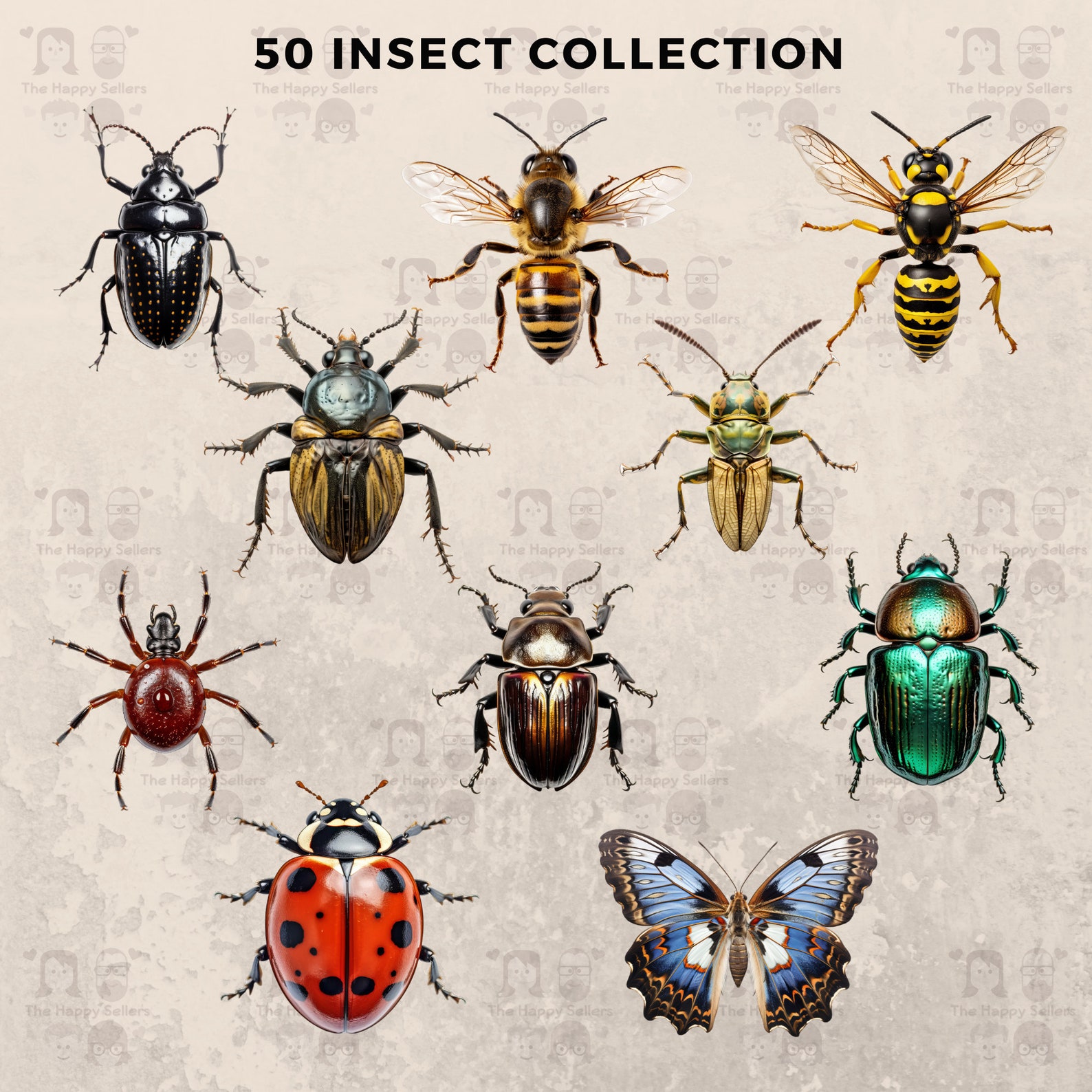 50 Insect Collection Clipart Pack INSTANT DOWNLOAD 50 Intricate Insect ...