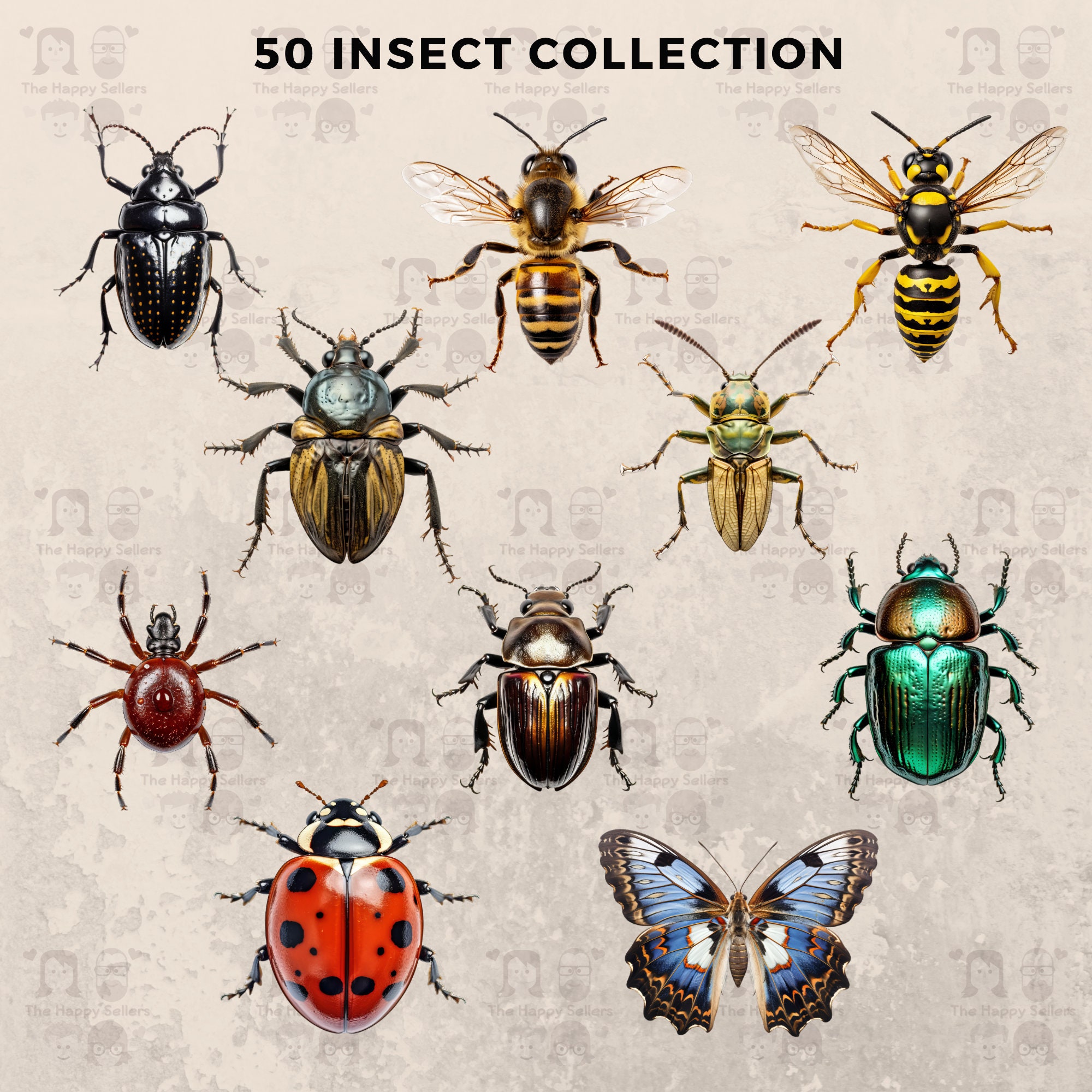 50 Insect Collection Clipart Pack INSTANT DOWNLOAD 50 Intricate Insect ...