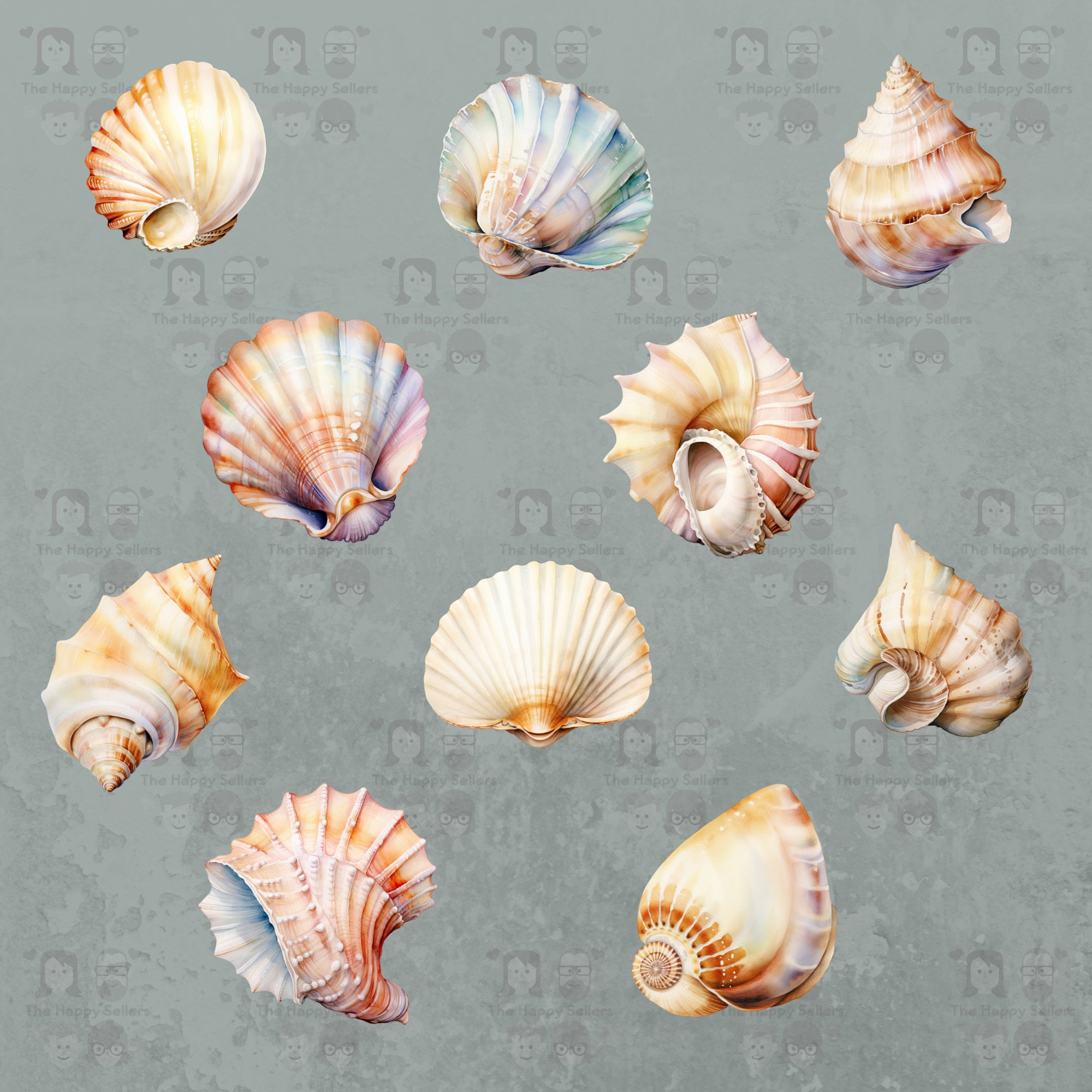 40 Watercolor Seashells Clipart Pack INSTANT DOWNLOAD - Etsy