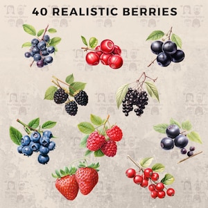 40 Realistic Berries Clipart Pack INSTANT DOWNLOAD 40 Berry ...