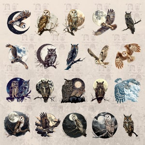 40 Night Owls Clipart Pack INSTANT DOWNLOAD 40 Night Owl Illustrations ...