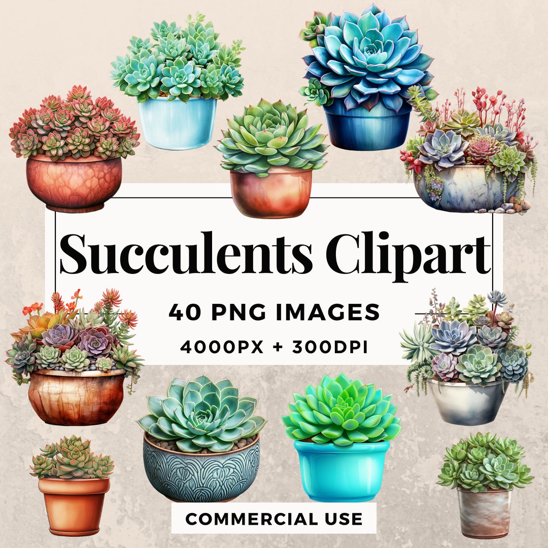 40 Succulents Clipart Pack INSTANT DOWNLOAD 40 Plant Illustrations, PNG ...
