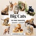 10 Big Cats Clipart Pack INSTANT DOWNLOAD 10 Majestic Big Cat ...