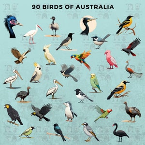 90 Birds of Australia Clipart Pack INSTANT DOWNLOAD 90 Exquisite Avian ...