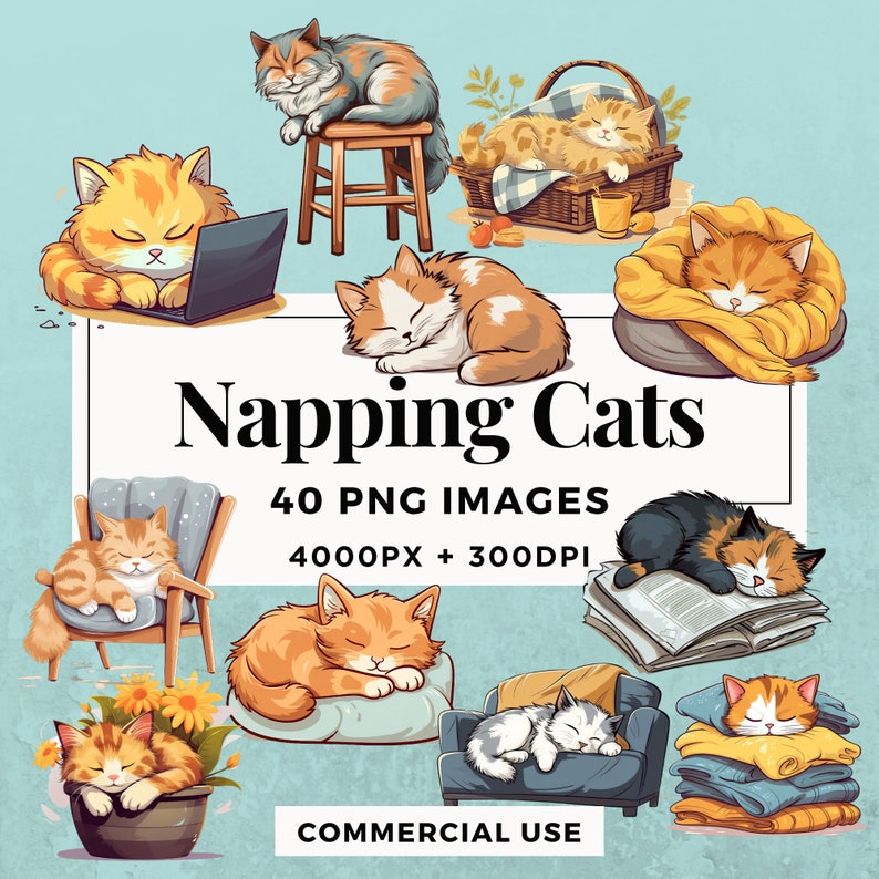 40 Napping Cats Clipart Pack INSTANT DOWNLOAD 40 Cozy Cat Nap - Etsy