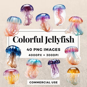 40 Colorful Jellyfish Clipart Pack INSTANT DOWNLOAD 40 Vibrant ...