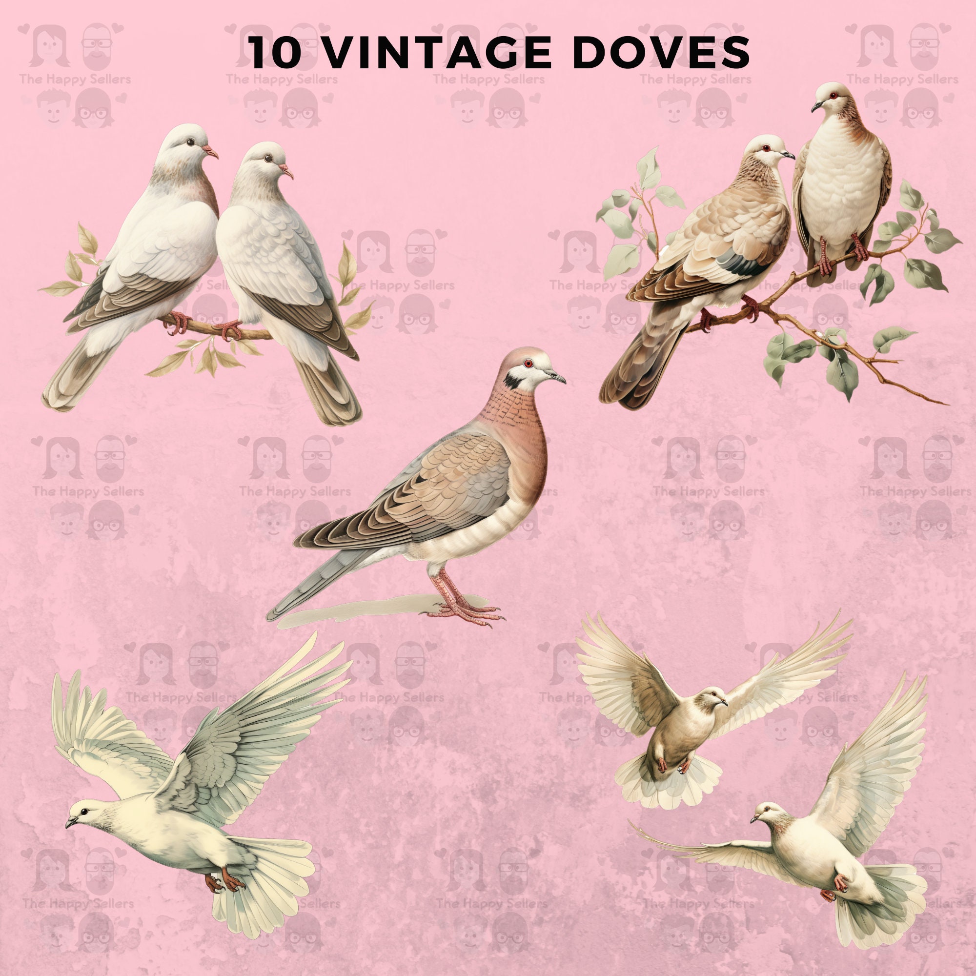 10 Vintage Doves Clipart Pack INSTANT DOWNLOAD 10 Elegant Bird ...