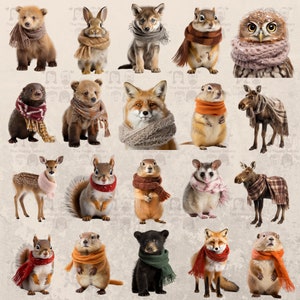 50 Forest Animals in Winter Clipart Pack INSTANT DOWNLOAD 50 Winter ...