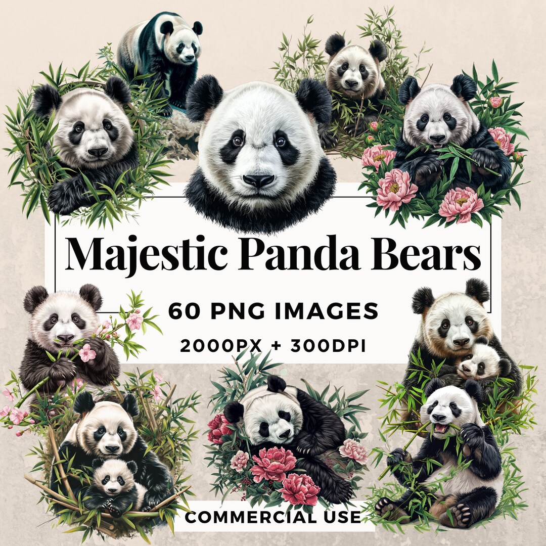 60 Majestic Panda Bears Clipart Pack INSTANT DOWNLOAD 60 Illustrations ...