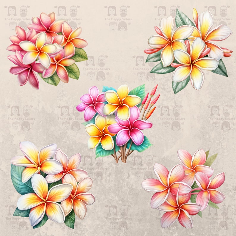 10 Plumeria Flowers Clipart Pack INSTANT DOWNLOAD 10 Floral ...