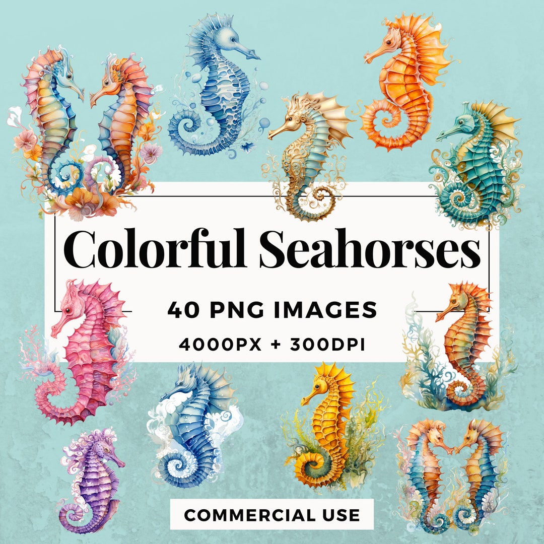 40 Colorful Seahorses Clipart Pack INSTANT DOWNLOAD 40 Seahorse ...