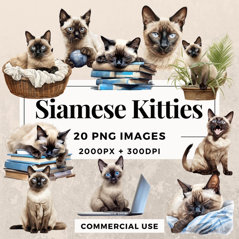 Siamese - Etsy