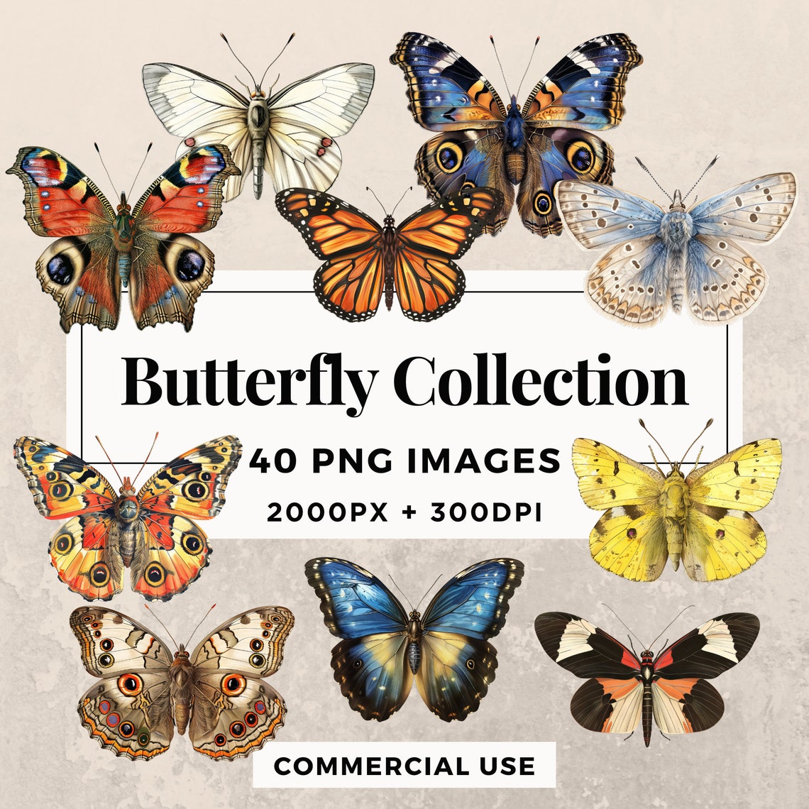 40 Butterfly Collection Clipart Pack INSTANT DOWNLOAD 40 Butterfly ...