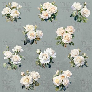 40 Watercolor White Roses Clipart Pack INSTANT DOWNLOAD 40 Graceful ...