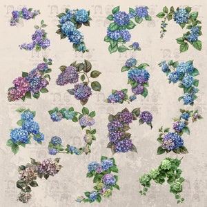 25 Hydrangeas Corner Designs Clipart Pack INSTANT DOWNLOAD 25 Elegant ...