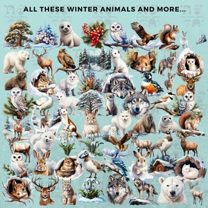 130 Winter Animals Clipart Bundle - Instant Download, Wildlife ...