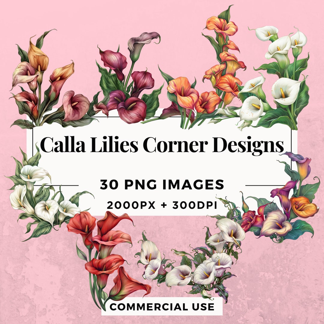 30 Calla Lilies Corner Designs Clipart Pack - INSTANT DOWNLOAD, PNG Transparent Background ...