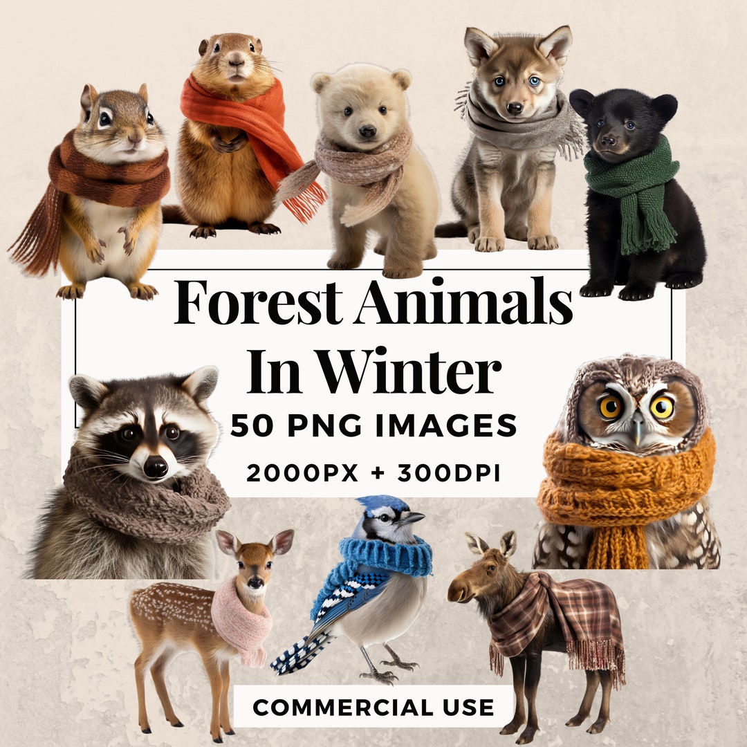 50 Forest Animals in Winter Clipart Pack INSTANT DOWNLOAD 50 Winter ...