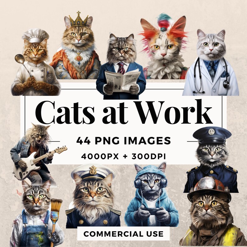 44 Cats at Work Clipart Pack INSTANT DOWNLOAD 44 Cat Illustrations, PNG ...