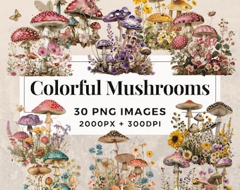 Rainbow Mushroom Clipart PNG Transparent Background Commercial Use - Etsy