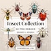 50 Insect Collection Clipart Pack INSTANT DOWNLOAD 50 Intricate Insect ...