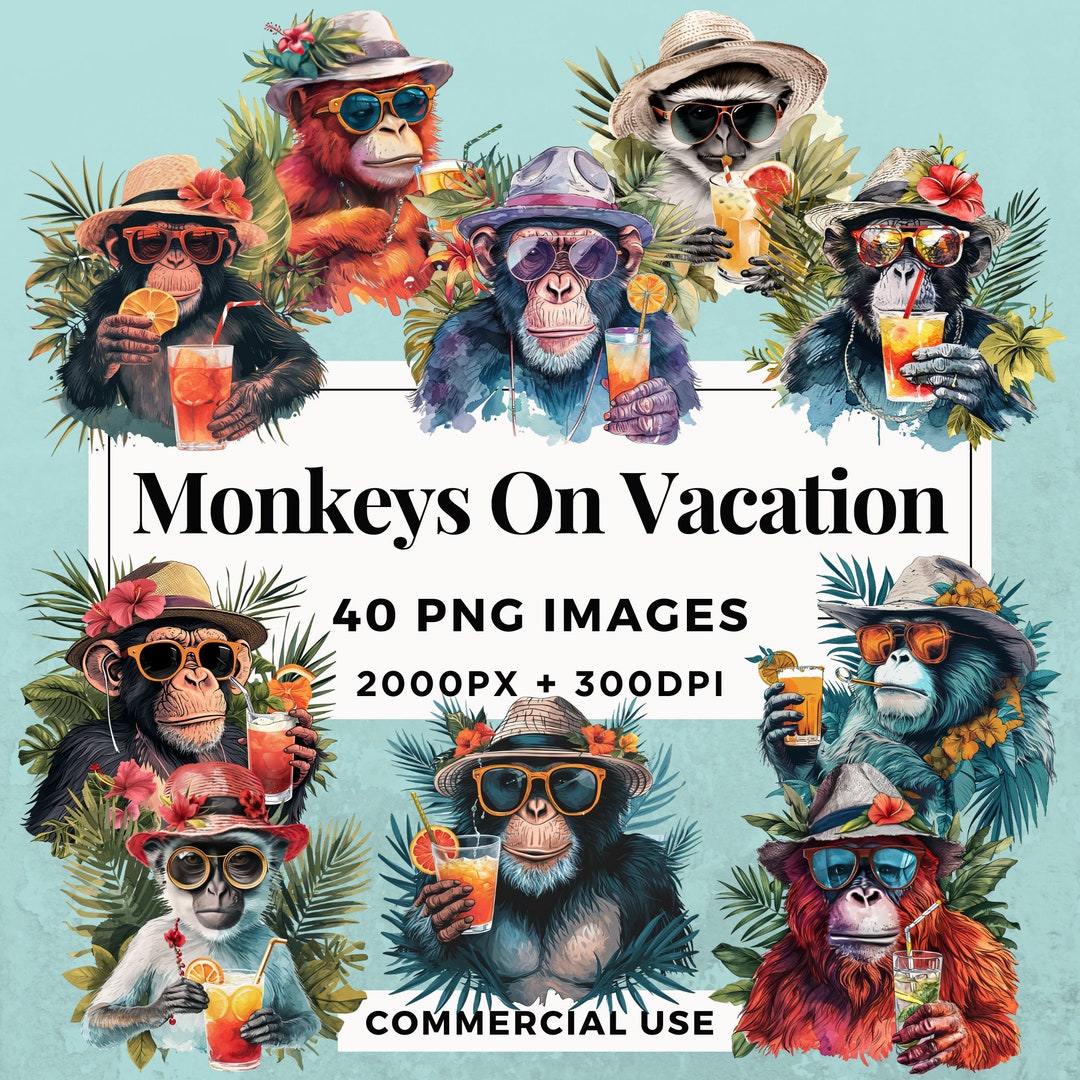 40 Monkeys on Vacation Clipart Pack - INSTANT DOWNLOAD, PNG Transparent ...