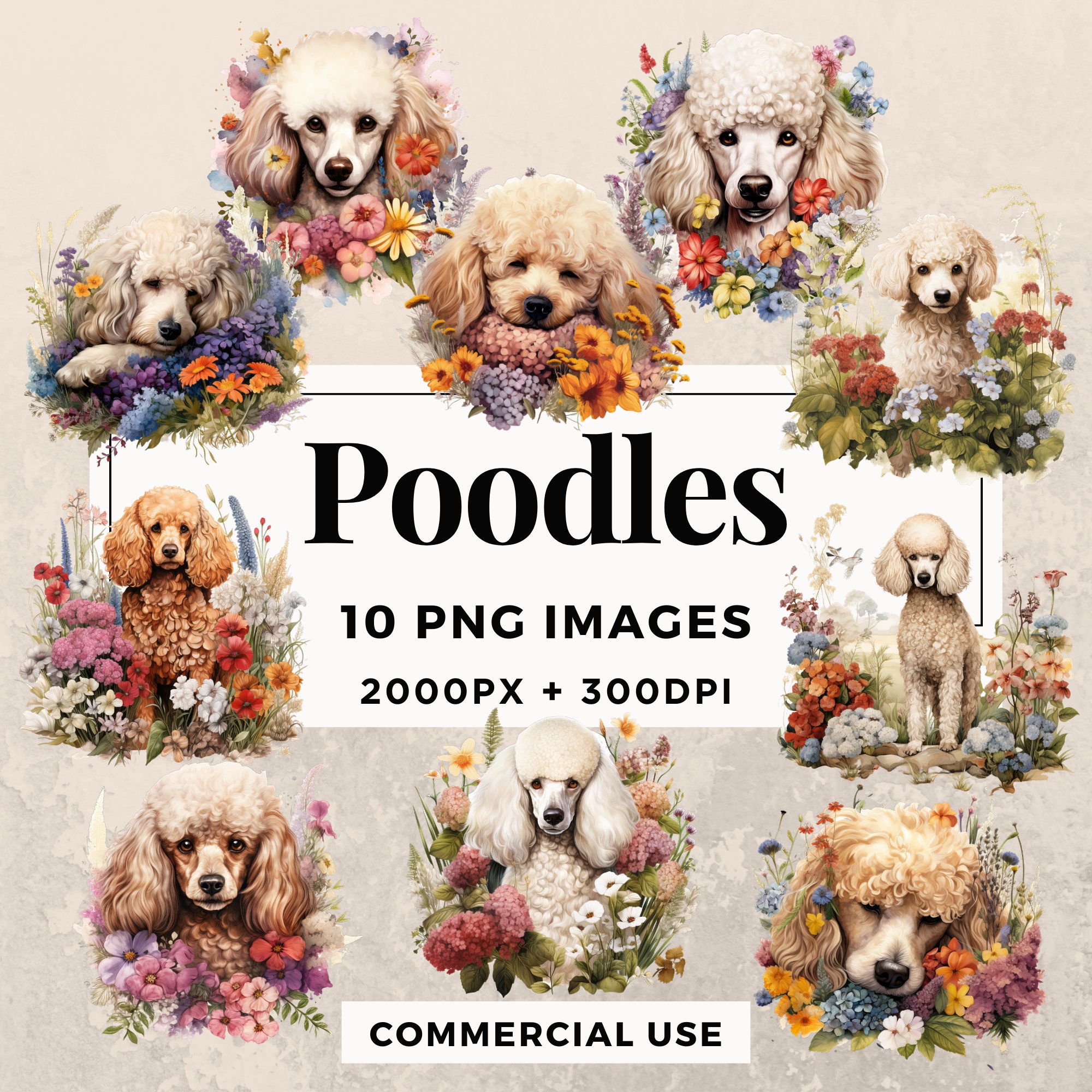 10 Poodles Clipart Pack INSTANT DOWNLOAD 10 Adorable Poodle ...