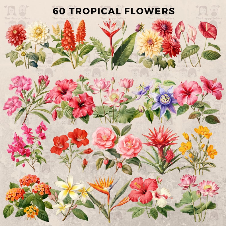 60 Tropical Flowers 2 Clipart Pack INSTANT DOWNLOAD 60 Exotic Floral ...