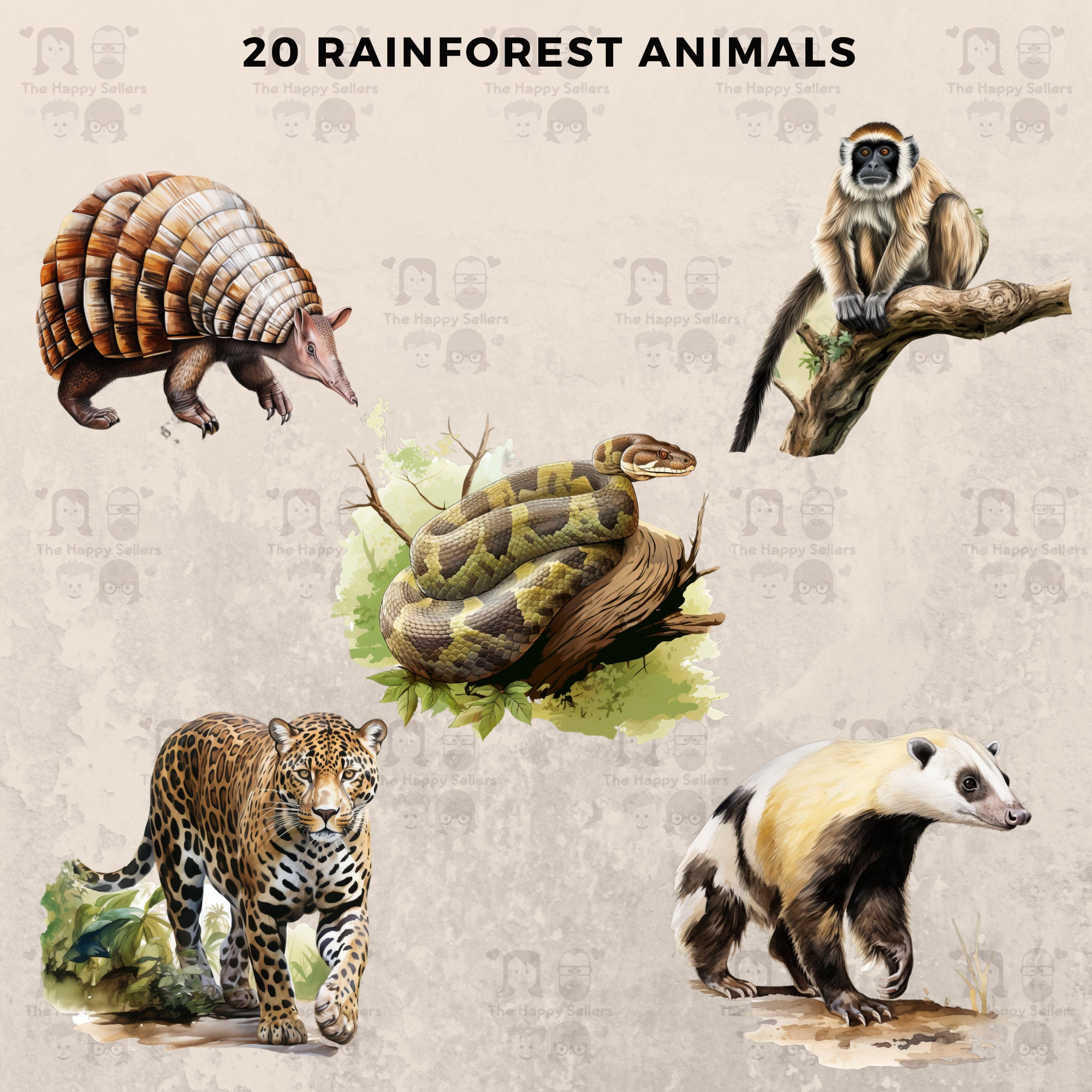 20 Rainforest Animals Clipart Pack INSTANT DOWNLOAD 20 Rainforest ...