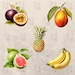 10 Tropical Fruits Clipart Pack INSTANT DOWNLOAD 10 Fruit Illustrations ...