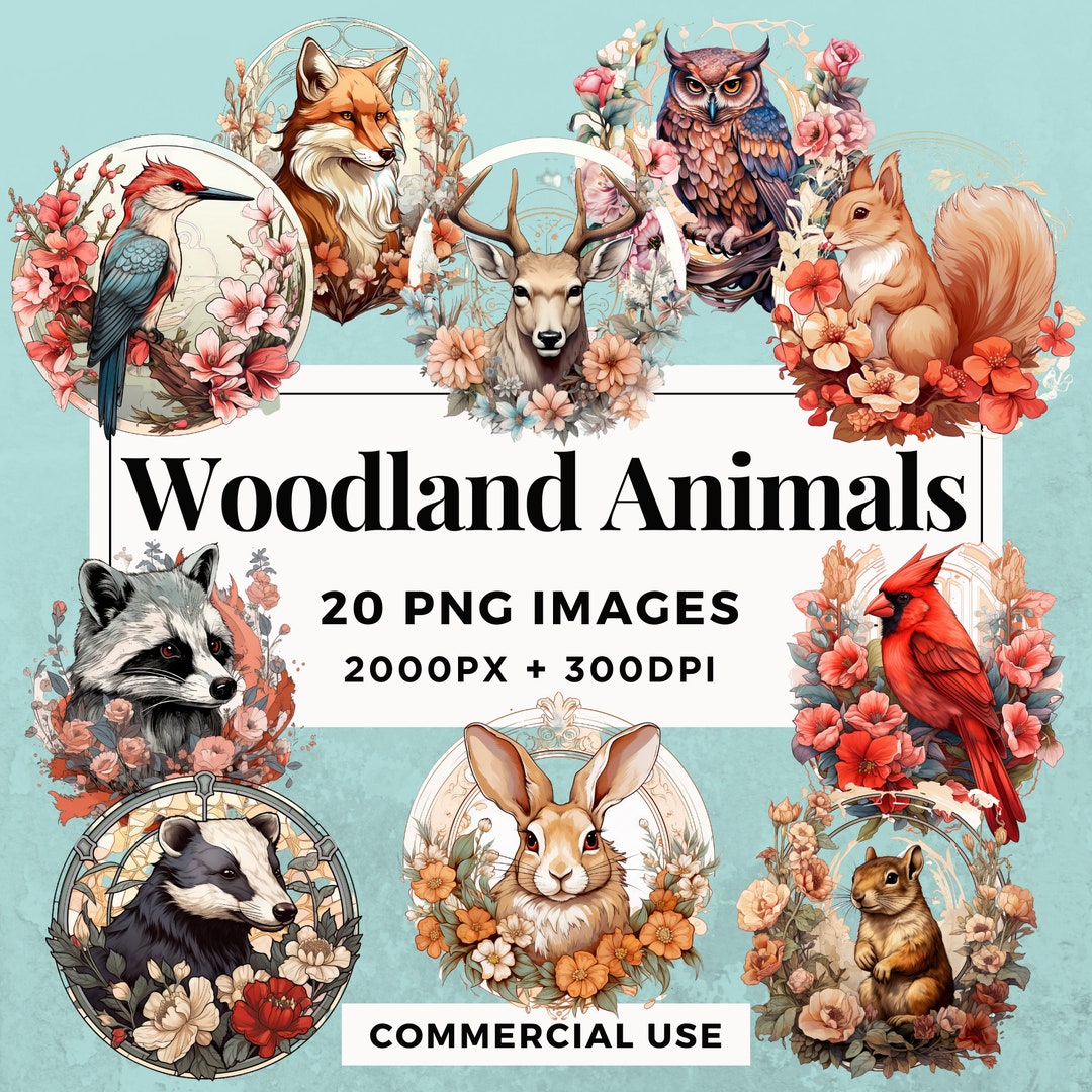 20 Woodland Animals Clipart Pack INSTANT DOWNLOAD 20 Woodland Animal ...