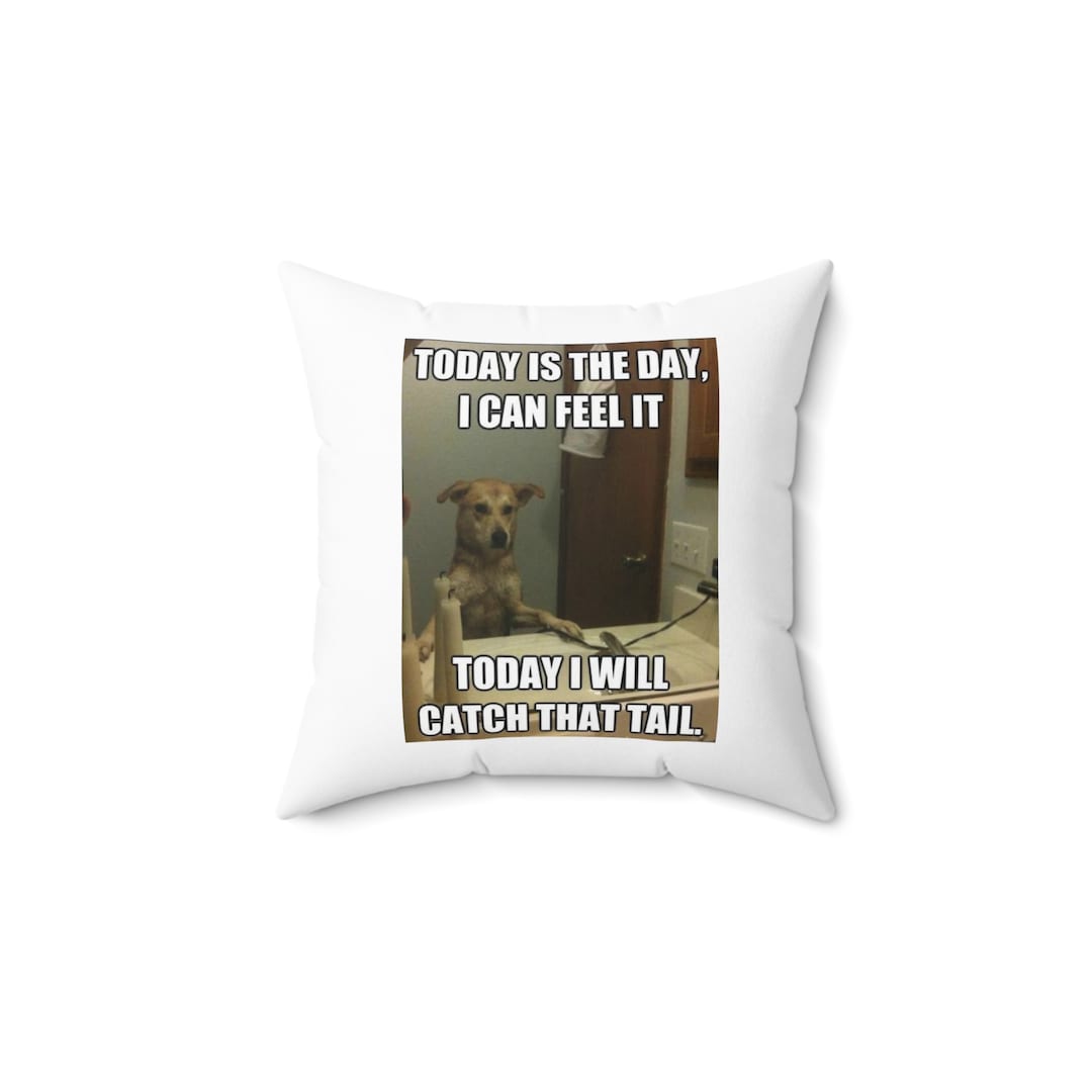 Creative and Fun Dog Meme Pillow - Etsy