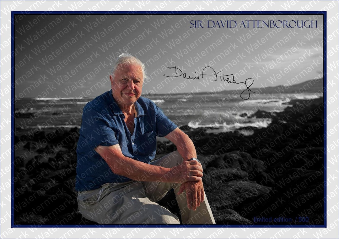 5049 Sir David Attenborough A4 Signed Limited Edition Pre Printed ...
