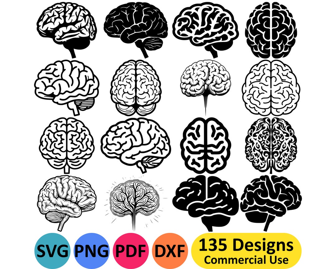 Brain SVG Medical PNG Files for Digital Download, Printable Human ...