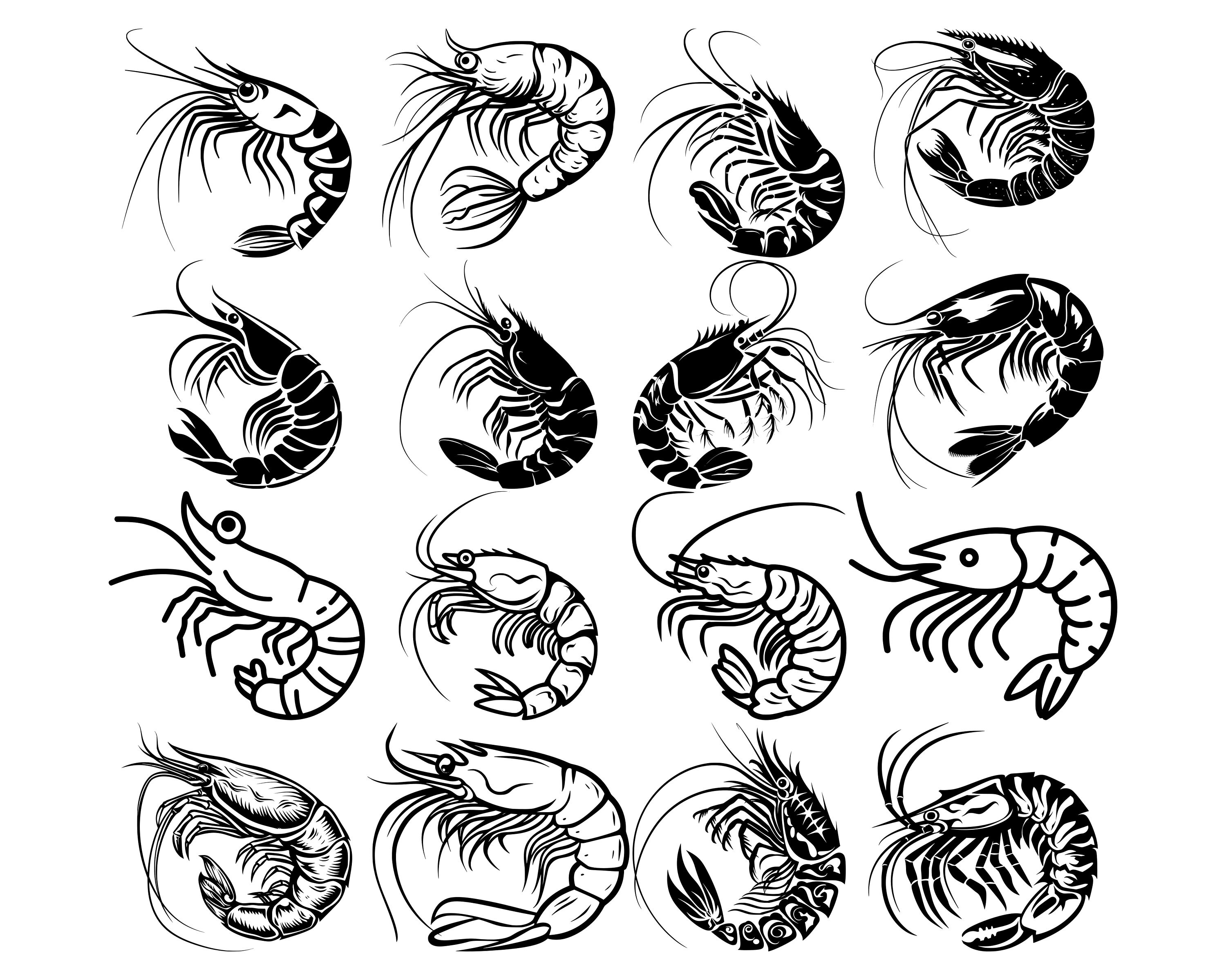 Shrimp SVG Seafood Prawn PNG Drawing for Download, Printable Sea ...