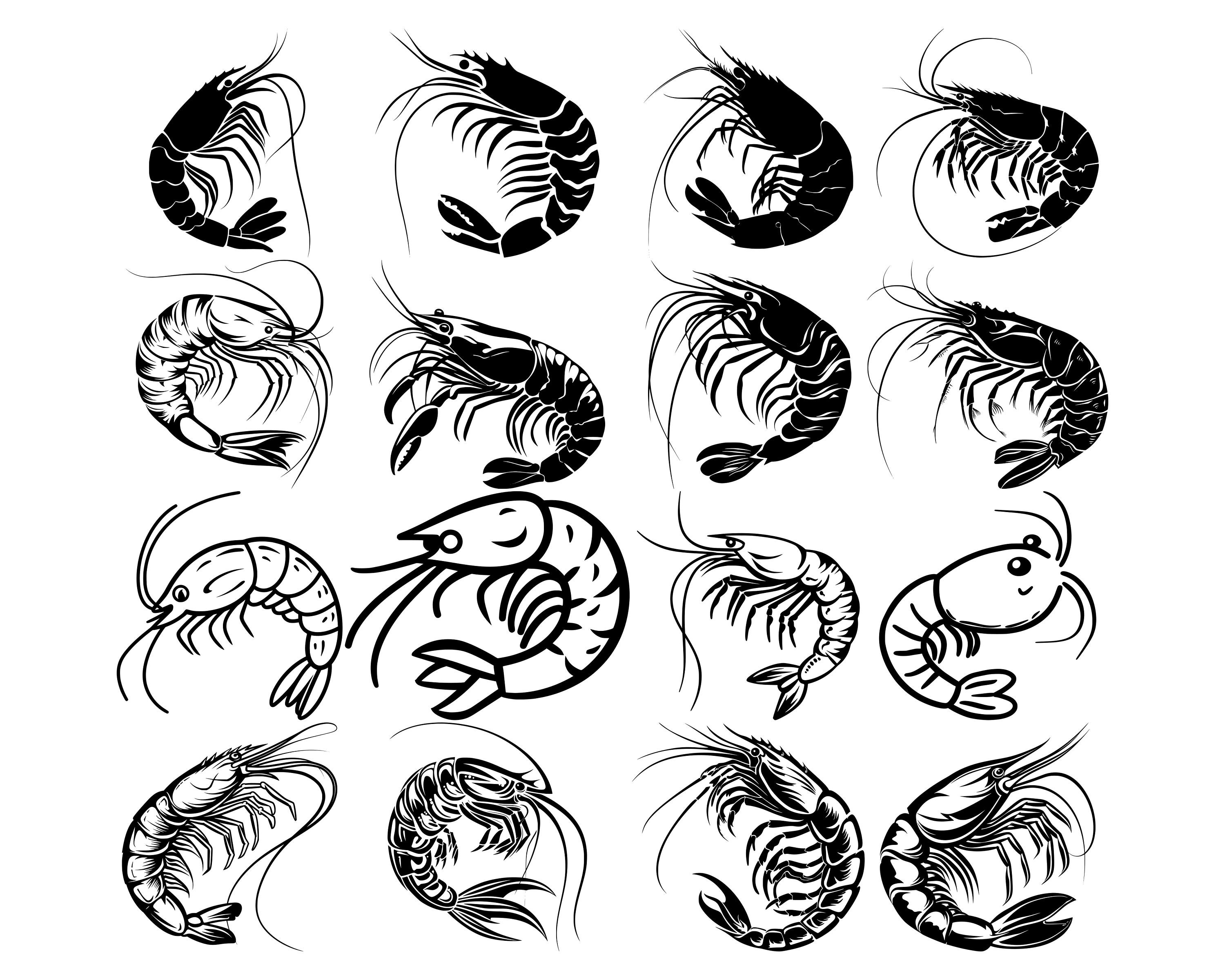 Shrimp SVG Seafood Prawn PNG Drawing for Download, Printable Sea ...