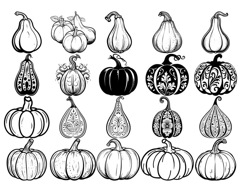 Squash SVG Butternut PNG Kabocha Clipart for Digital Download, Winter ...